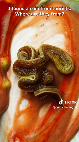 Can you guess the country of this coin? #dirtycoin #coin #coincleaning #cleaning #restoration #satisfying #asmr