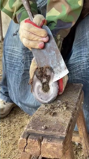 The knife is too sharp, less than 30 seconds, the master will repair clean丨Donkey hoof cutting sound