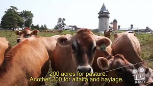 351K views · 4.2K reactions | Fazendas de Sucesso - Programa #15 -...