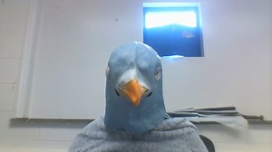 Join us as we wrap up our Masked Reader event this week in celebration of National School Library Week! With just two masked readers left, let's put your knowledge of Ferrum Elementary educators to the test. Can you guess who's behind the mask? Don't miss out on the fun! Vote here! https://www.menti.com/alkrfor2omq7 | Ferrum Elementary