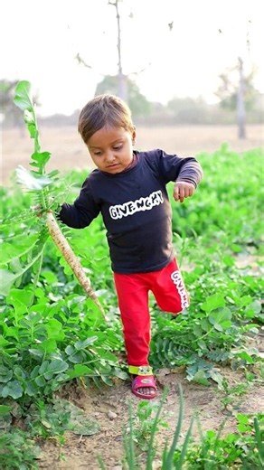 Rudra radish 🥕 Le Aaya #shorts #viral #funnyvideo #village