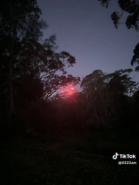Stunning Fireworks Display Amidst Twilight Forest
