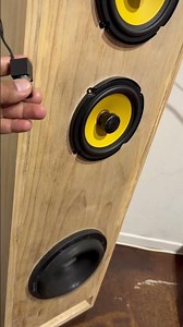 A nice 8 inches subwoofer