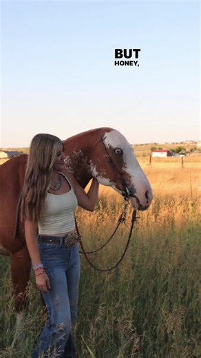 The Legacy of the Quarter Horse Chief