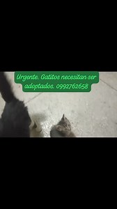 11 shares · 4 comments | Caso externo Nos piden publicar BUSCAN...