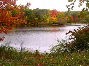 Apartments for Rent in 06518, Hamden, CT | ApartmentHomeLiving.com