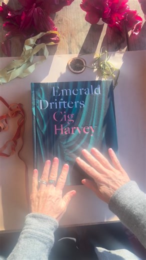 Cig Harvey on Instagram: "What is better than one book? Why a matching set of course 👯‍♀️💕🤓 - - - - - #cigharvey @phaidonpress #emeralddriftersbook #bluevioletbook"