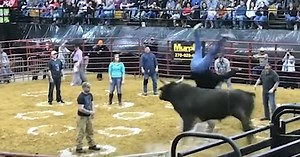 Rodeo Crowd Shocked As Bull Flips 2 In 'Cowboy Pinball'