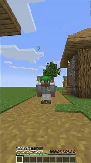 Minecraft Diarrhea #minecraftmeme