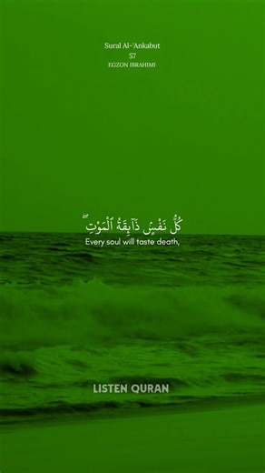 Beautiful recitation of Quran ❤️#shorts