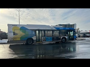 STM bus compilation (January 2025)