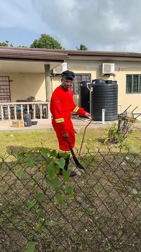 Caribbean neighbors always arguing 😭😂 | Certified Sampson