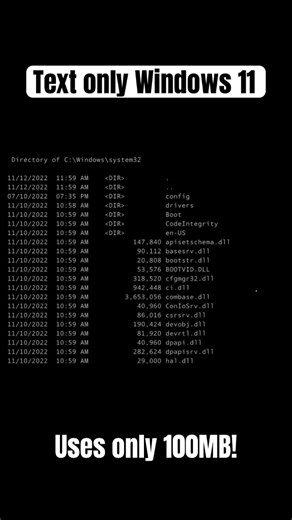 I Deleted the GUI from Windows 11 💀 #windows #microsoft