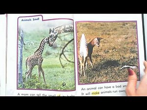 Journeys Grade 1 Lesson 7 Day 2 How Animals Communicate 8