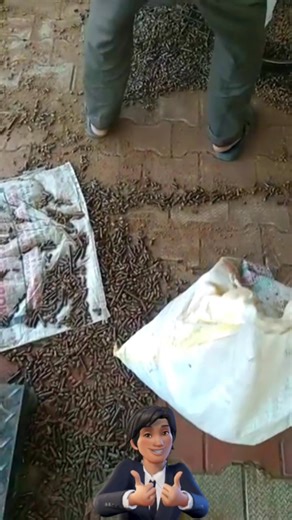 Combo machine 👉 Pellet manufacture machine 👉 Briquettes machine||pellet machine||flash driyar||hammer mill||rotary driyar||wood chipper ♻️♻️♻️♻️♻️♻️♻️♻️♻️♻️♻️♻️ #BiomassPelletMachine #BiomassIndia #BriquettesMachine #FlashDriyar #PelletMachineIndia #BiomassEnergy #BiomassPellets #RenewableEnergyIndia #BiomassPower #BiomassFuelIndia #AgroWastePellets #SawdustPelletMachine #WoodPelletMachineIndia #GreenEnergyIndia #PelletPlantIndia #BiofuelIndia #pelletmachinemanufacturer @topfans | Briquettes m