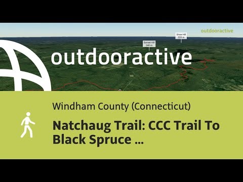 Natchaug Trail: CCC Trail To Black Spruce Pond