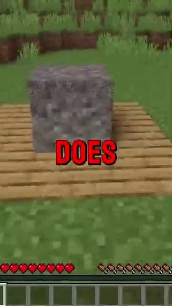 The Most Realistic Minecraft Mod