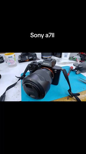 Sony a7ll Sensor Cleaning: Removing Fungus and Restoring Image Quality