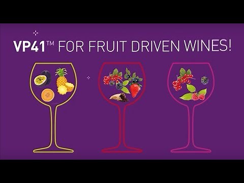 Malolactic fermentation : use the Wine bacteria VP41 for young and fresh forward wines