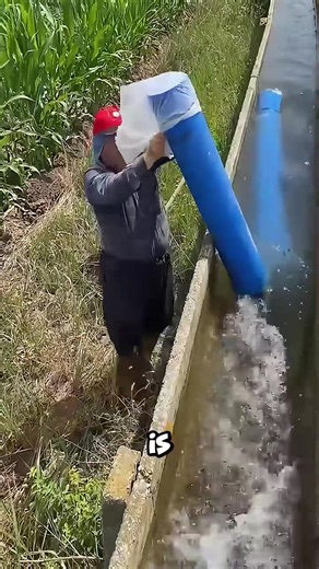 When no power is available, use a foot treadle or piston hand pump with a check valve. #HandsOnFarming #RuralTech #SustainableAg #fblifestyle | Taylor’s on Toft