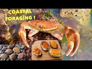COASTAL FORAGING - Brown Edible CRAB , Abalone Cooked on a Bunker