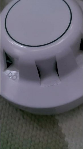 testing the apollo series 65 smoke detector for the first time