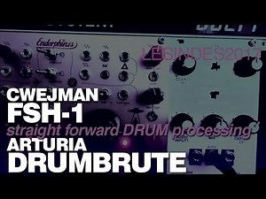 ARTURIA DRUMBRUTE through CWEJMAN FSH-1 pitch shifter
