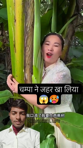 champa ne jahar kha liya 😱🤢 #facts #fruit #funny #banana