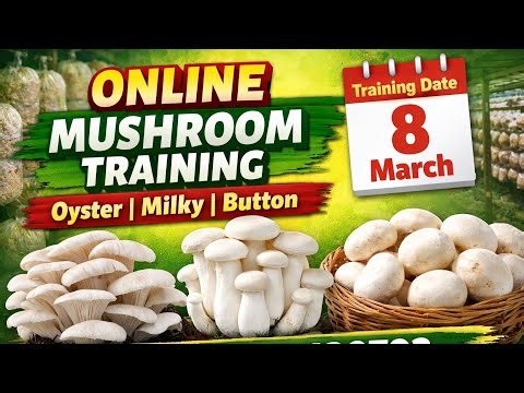 Online Mushroom Training on Oyster, Milky and Button Mushroom cultivation #Button 