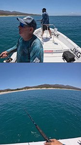 87K views · 2K reactions | Una de mis especies favoritas sin duda! Bonito Pez Gallo pescando con Snook Mafia Pescado con un Riptide 155 de Nomad Design Tackle Recuerden amigos, todos los señuelos NOMAD vienen armados de paquete con anzuelos de BKK Hooks International Gracias a Tilín que se la rifó metiéndole la mano a ese gallo jejeje | Jorge Acosta - Pesca | Facebook