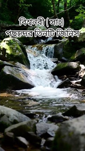 মহানবী সাঃ এর পছন্দের তিন জিনিস-