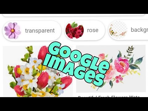 How to download Google images to your computer