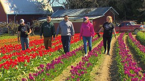 357K views · 16K reactions | This is the story of old friends who...