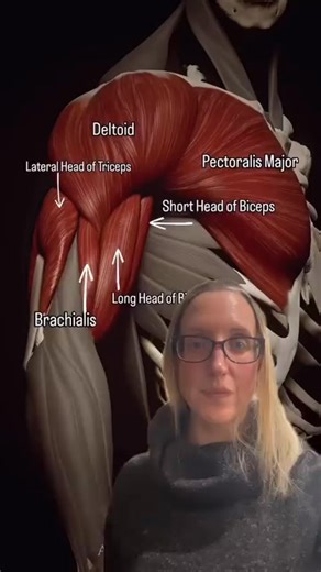 Struggling to learn muscles for your course? Here’s my game-changing advice! Put the manual down and step into action The best way to learn muscles isn’t by staring at a page... it’s by moving your body and experiencing how each muscle works in real life. When you’re in the gym (or even at home), take your revision with you and think about how each muscle plays a role in your exercises. Here’s how to make it stick: ✅ Learn the agonist (the prime mover doing most of the work). ✅ Understand the an