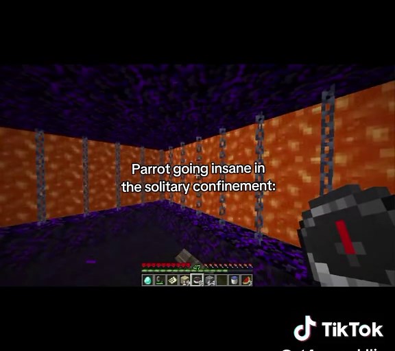 Parrot going insane in solitary confinement: #parrotx2 #unstablesmp #minecraft