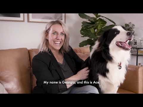 AAMI | Customer Stories