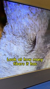 This machine blows my mind . . #zoom #wow #science #experiment #microscope | Original Videos from Adrian Lomeli