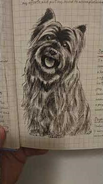 Day 22 of Reading Doc Brown's Journal Entries from the Delorean Time Machine Owners Workshop Manual