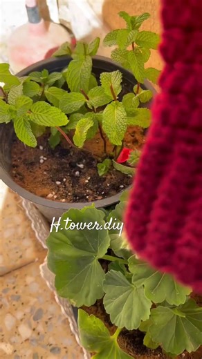 Crochet Gloves: The DIY Tutorial You Didn't Know You Needed 2026