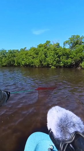 Testing my newest Cast Net Design. This net is a BEAST. It's...