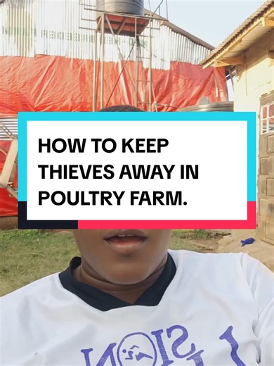 Effective Strategies to Deter Thieves in Poultry Farming