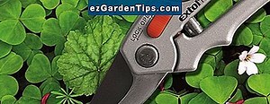 Алати за скидање стабала 🌱 Типс Баштовани - Sr.ezGardenTips.com