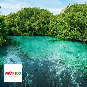 Bienvenidos a Visit México, la organización oficial para la promoción de viajes y turismo en México. Conoce más de nuestros destinos; desde destinos de playa, ciudades coloniales, pueblos mágicos y grandes ciudades. #PiensaEnMéxico #VisitMexico | VisitMexico