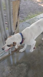 1.3K views · 59 reactions | Open 12-4 Make it a great Saturday and...