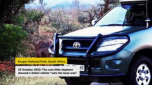 1.1K views · 89 reactions | Happy today! Here is your Good Things...