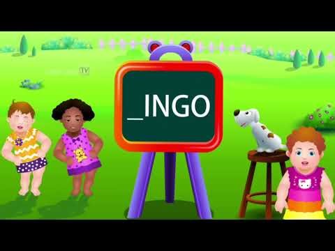 I-N-G-O! 🐶 Bingo Dog Song | Spelling & Clapping | JeeDee Kids TV