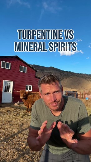 🎨 Turpentine vs. Mineral Spirits: The Solvent Showdown! 🖌️ Ever wondered about the difference? Turpentine, with its strong piney aroma, comes from pine tree resin, while mineral spirits have a milder scent, and has petroleum origins. But what's a solvent? It's a substance that dissolves other substances! 🌟 Both have a long shelf life if stored right: think sealed containers and stable temperatures. Their main purpose? Cleaning brushes, tools, and stripping away stubborn paint or varnish. ... 