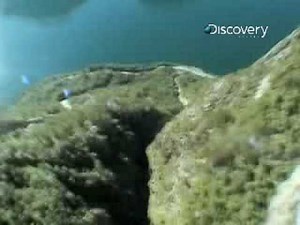 Destroyed in Seconds - Base Jumper Wipe-out