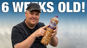 We all know how expensive casters are getting, here is a quick tip to make them last for upto SIX WEEKS! | Winning Ways