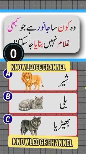 Top Islamic Question Answer | Islamic Sawal Jawab | Amazing Islami Paheliyan |Best Urdu Quiz|VM